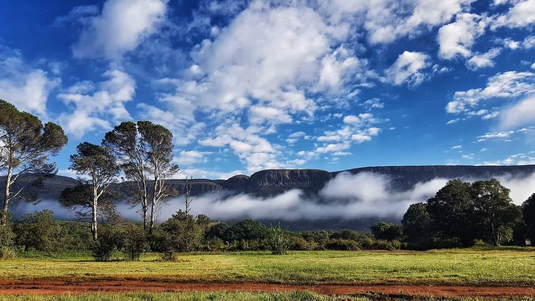 Vergenoeg Nature Reserve - What's on in Joburg